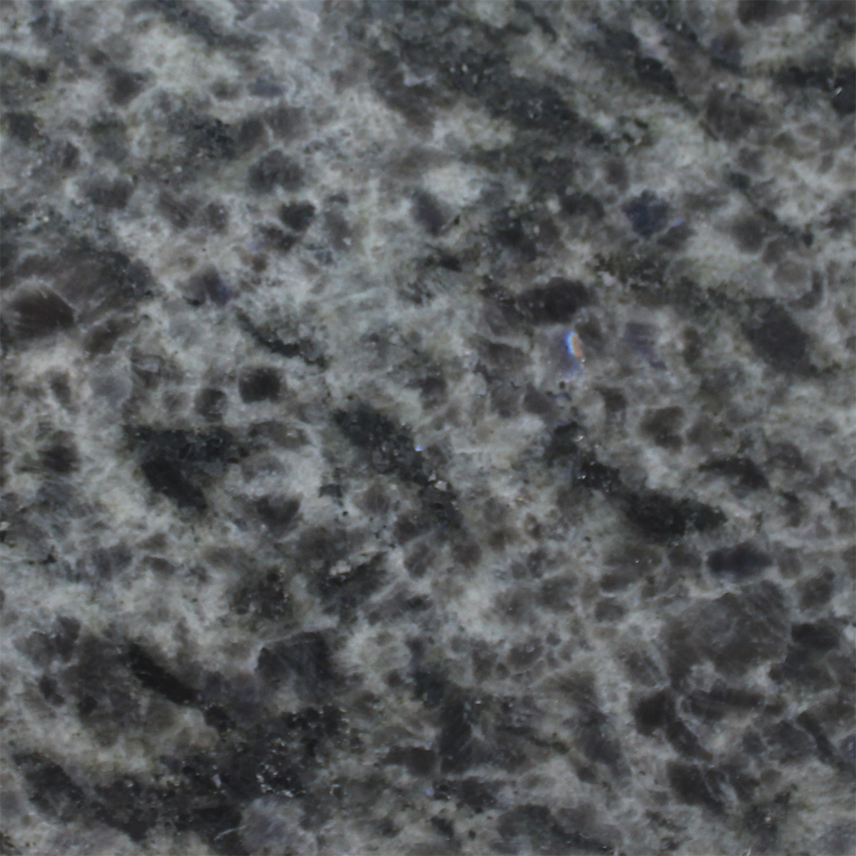 Blue Eyes | Price Stone