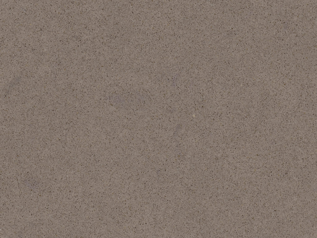 Ginger | Price Stone